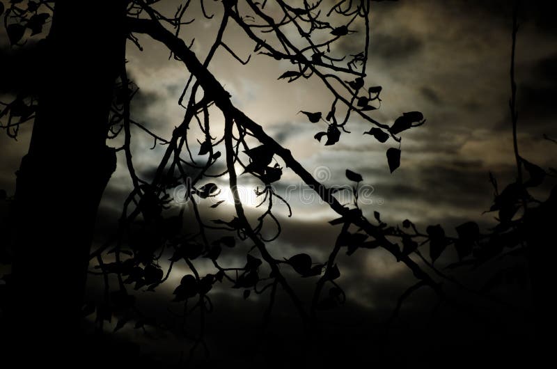 Stormy Sea at Night with Dramatic Sky and the Big Moon Stock Image ...