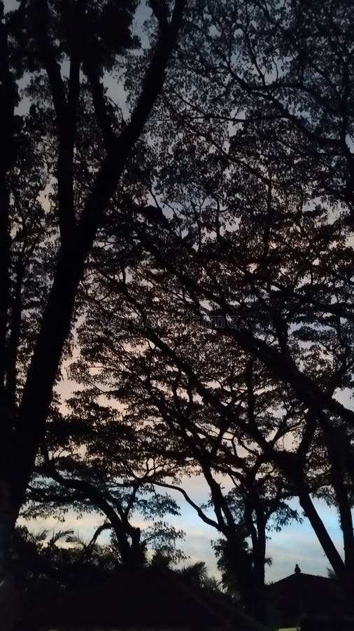 Boring 9 5 Work Stock Photos - Free & Royalty-Free Stock Photos from ...