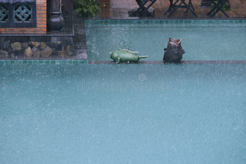 It was raining stock photo. Image of raining, care, outdoor - 78246856