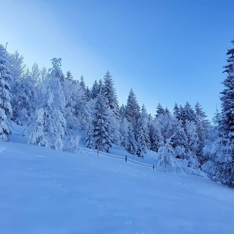 It Was a Wonderful First Tour in 2021ðŸ¥° and Certainly Not the Last ...