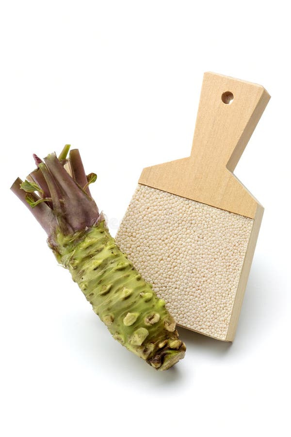 Wasabi stock photo. Image of vegetable, root, flavor - 25211206