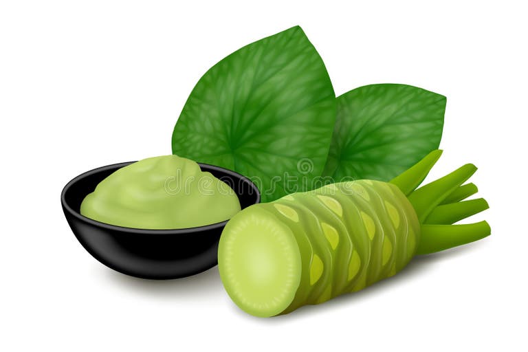 Japanese Wasabi Root Paste Stock Illustrations – 208 Japanese Wasabi ...