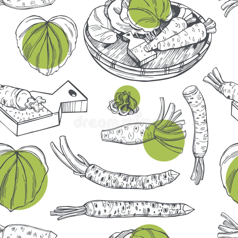 Wasabi, Root and Leaves. Vector Pattern Stock Vector - Illustration of ...