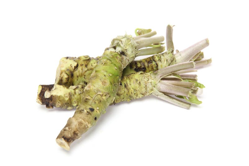 Wasabi in a White Background Stock Image - Image of fresh, spice: 80097847
