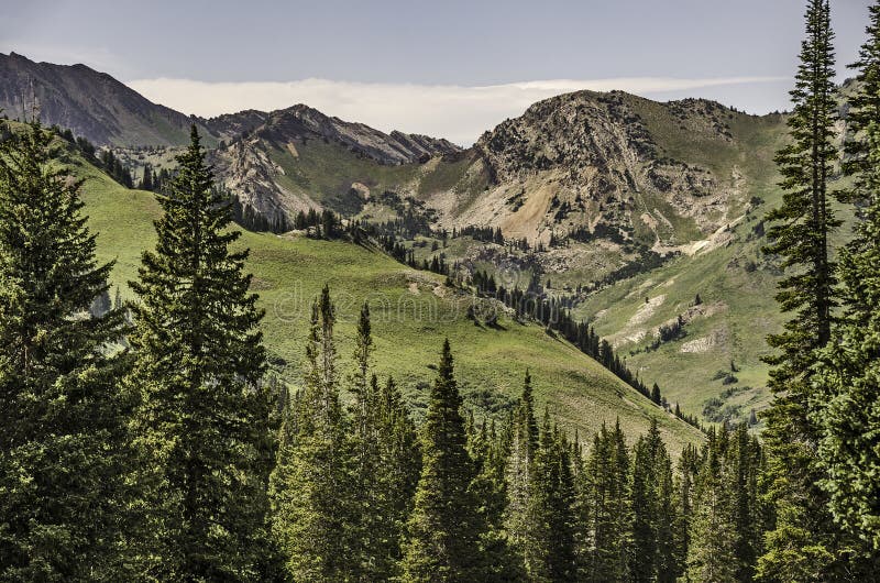 Wasatch Mountain Range stock photo. Image of utah, trees - 188109308