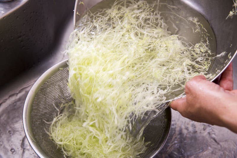 Wash the cabbage stock image. Image of healthy, ingredient - 170056879