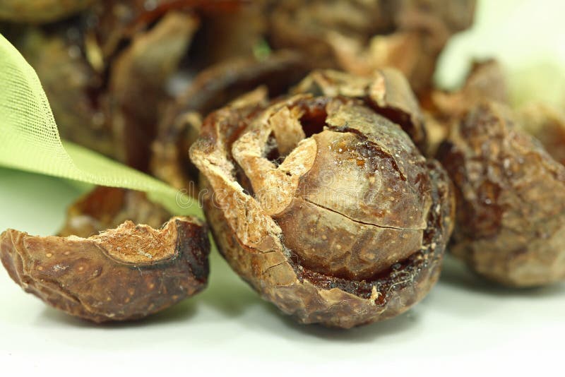 Wash nuts stock image. Image of berries, nuts, abstract - 53534539