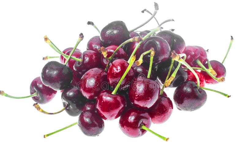 Wash, Shallow, Red Cherry on White Background. Stock Image - Image of ...