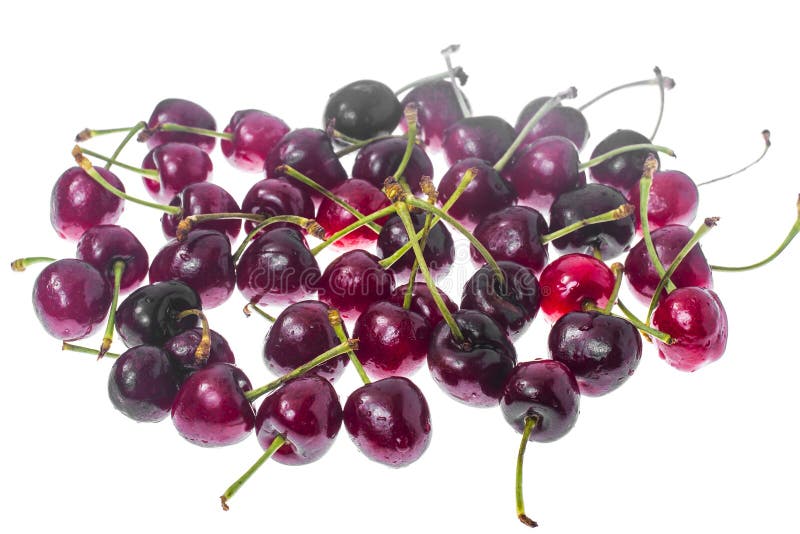 Wash, Shallow, Red Cherry on White Background. Stock Photo - Image of ...