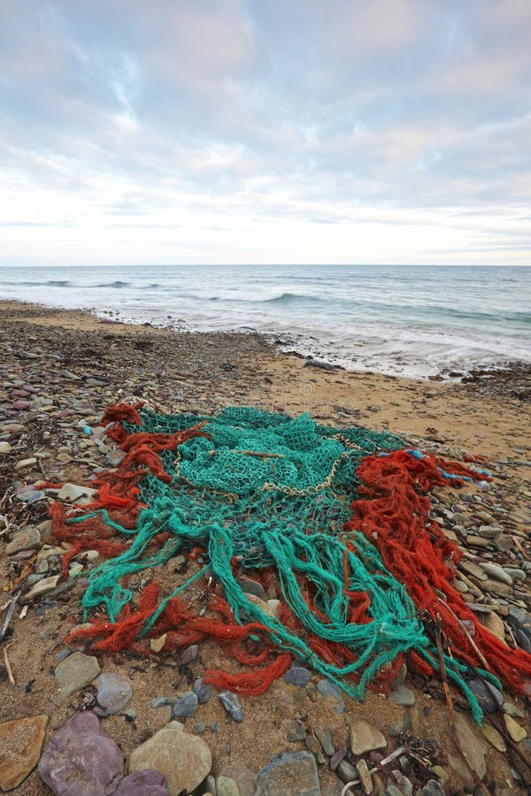 Washed Ashore stock photo. Image of cork, ireland, marine - 8820190