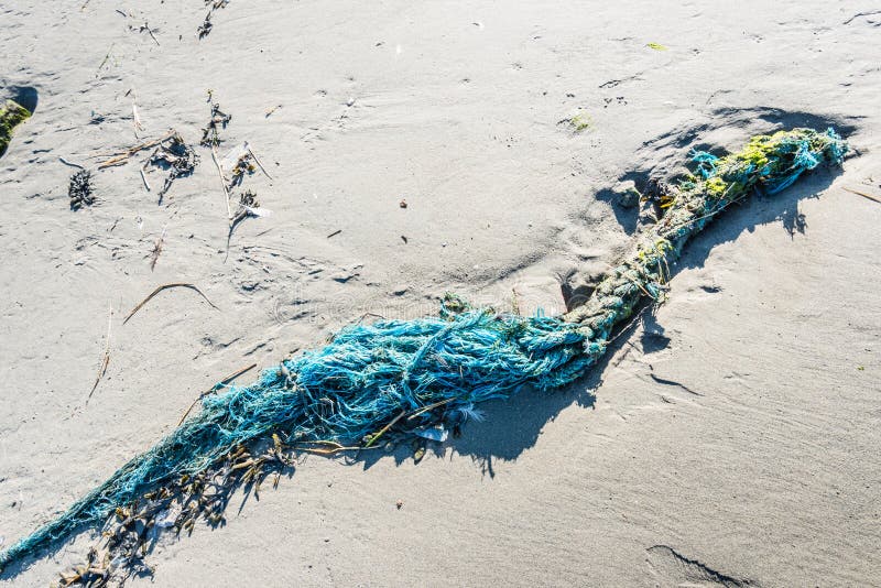 Washed Up Nets stock image. Image of pebbles, beach, fish - 24134535