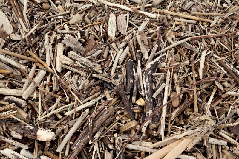 Washed branches texture stock image. Image of drift, debris - 30921577