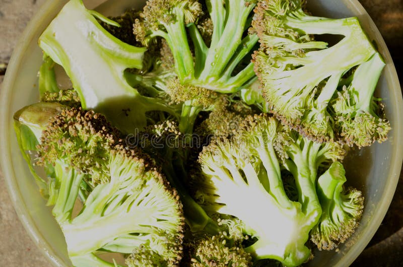 Washed Chopped Cauliflower. Stock Photo - Image of freshness, cooked ...