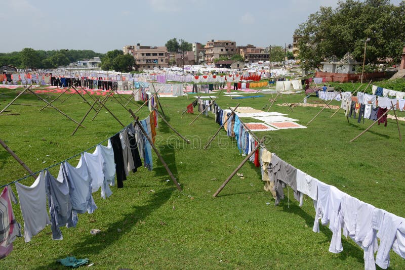 Washed Cloths stock photo. Image of household, washing - 76031786