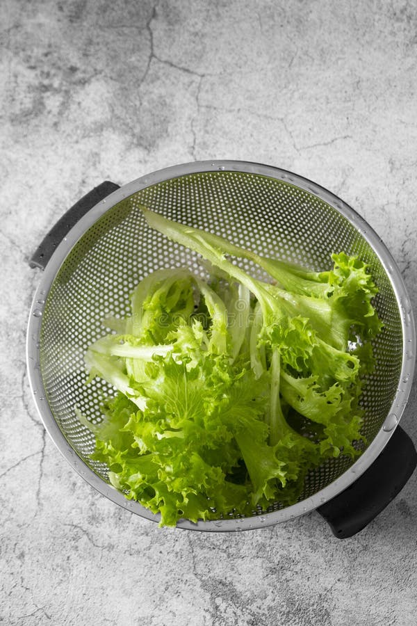 Washed Lettuce, Lollo Biondo, in a Stainless Steel Colander. Stock ...