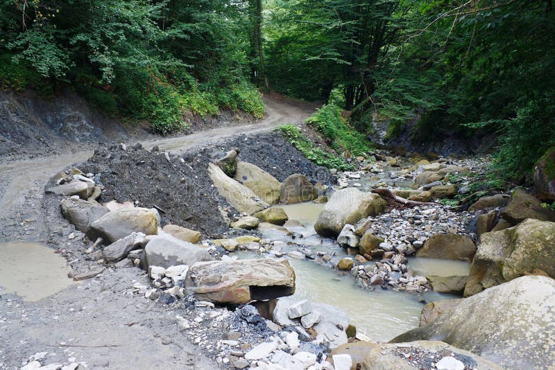 Washed Out Forest Road Near Stream after Rain Stock Image - Image of ...