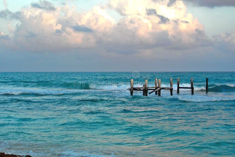 The Beaches of Mexico - a Beautiful Shot of a Horseshoe Crab Shell ...