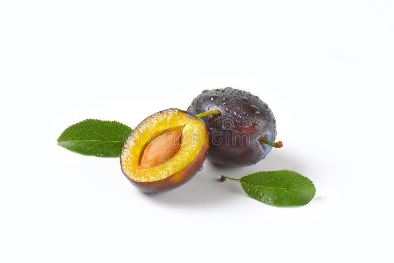 Half Washed stock image. Image of home, siding, washer - 129413