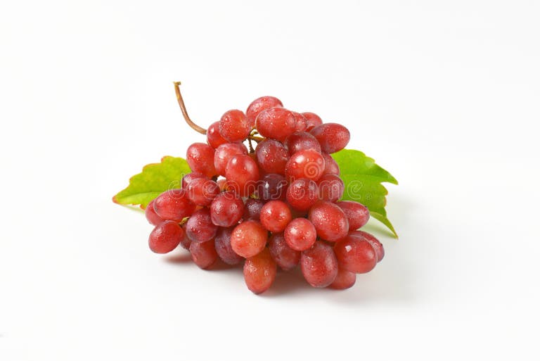Washed red grapes stock photo. Image of bunch, studio - 62152432
