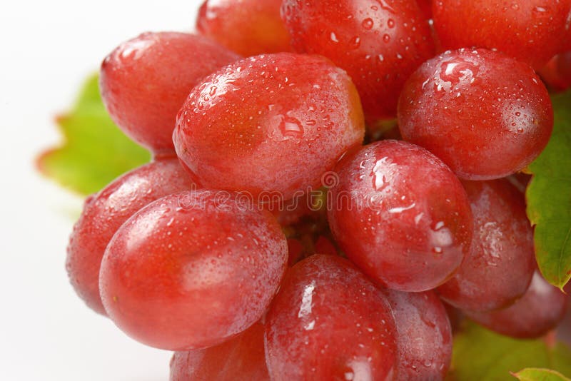 Washed red grapes stock image. Image of detail, ingredient - 62153565