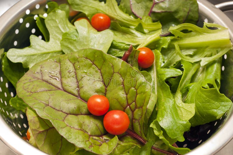Washed salad stock image. Image of lettuce, cherry, fresh - 58691707