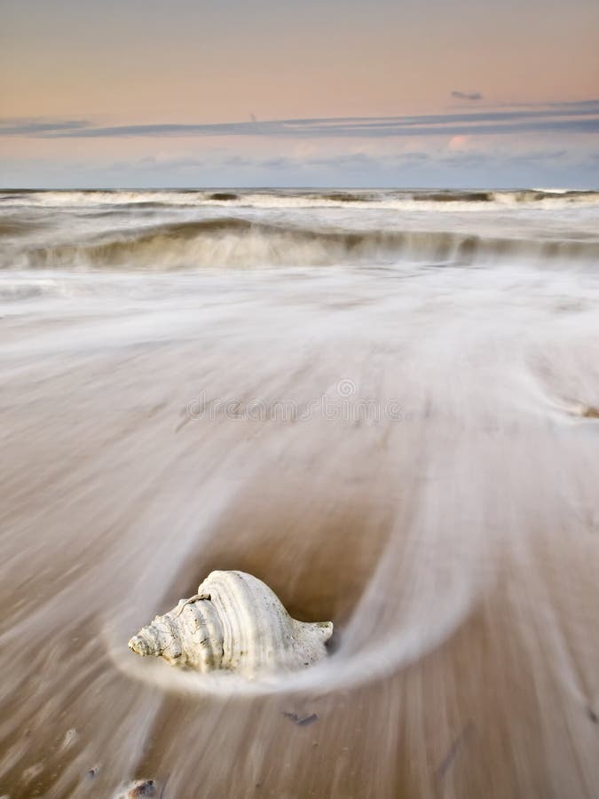 Washed Up stock photo. Image of movement, paradise, surf - 11404650