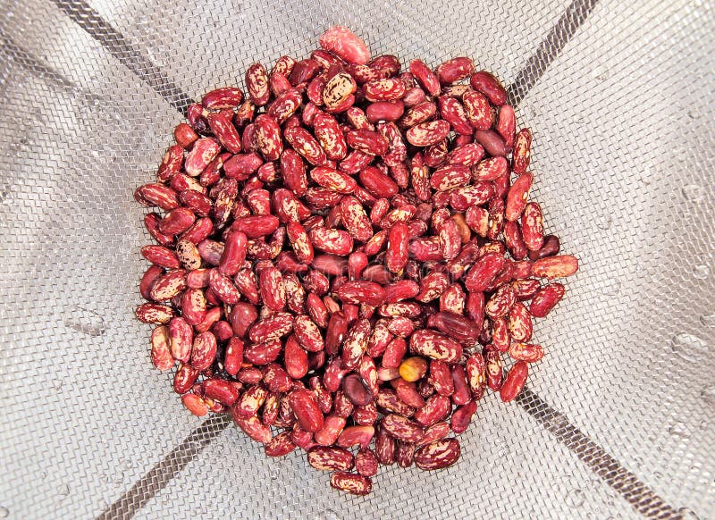 Washed Wet Beans Sieve Stock Photos - Free & Royalty-Free Stock Photos ...