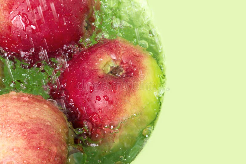 Washing of apples stock photo. Image of action, healthy - 24663488