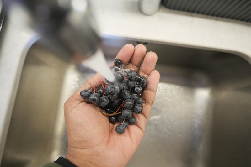 Washing Blueberries in the Sink Stock Photo - Image of fruit, nutrients ...
