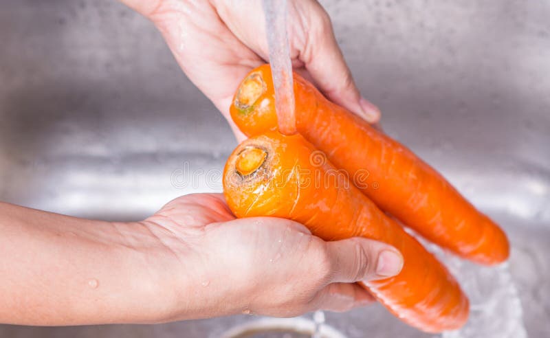 Washing carrot stock photo. Image of ripe, agriculture - 24845970