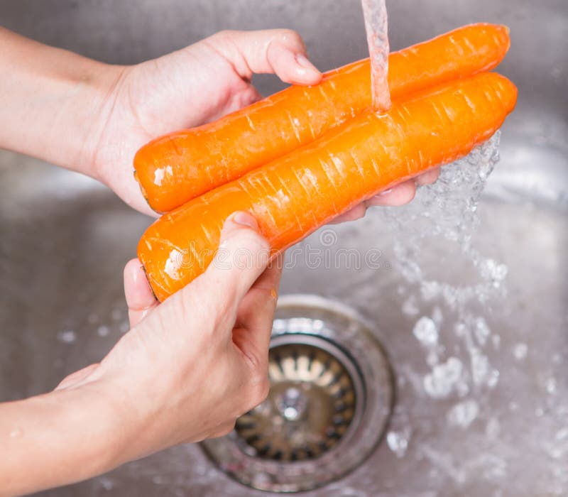 Washing Carrot Vegetables stock photo. Image of basin - 36467546