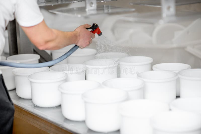 Washing cheese molds stock photo. Image of maker, control - 132608476