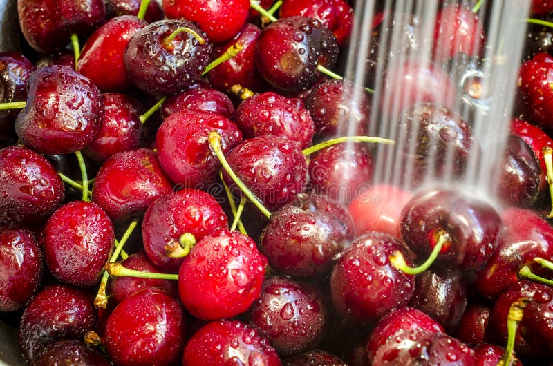 Washing Cherries stock photo. Image of spray, washing - 31414800