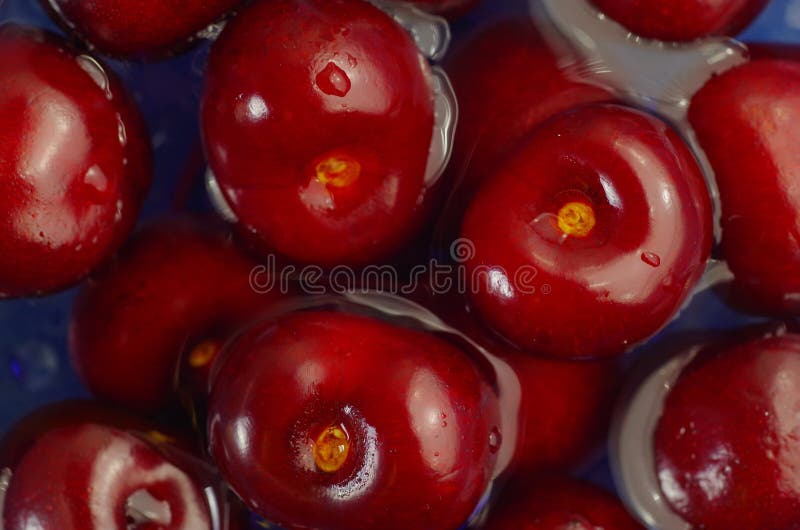 Washing Cherries in Fresh Water Stock Photo - Image of cherries ...