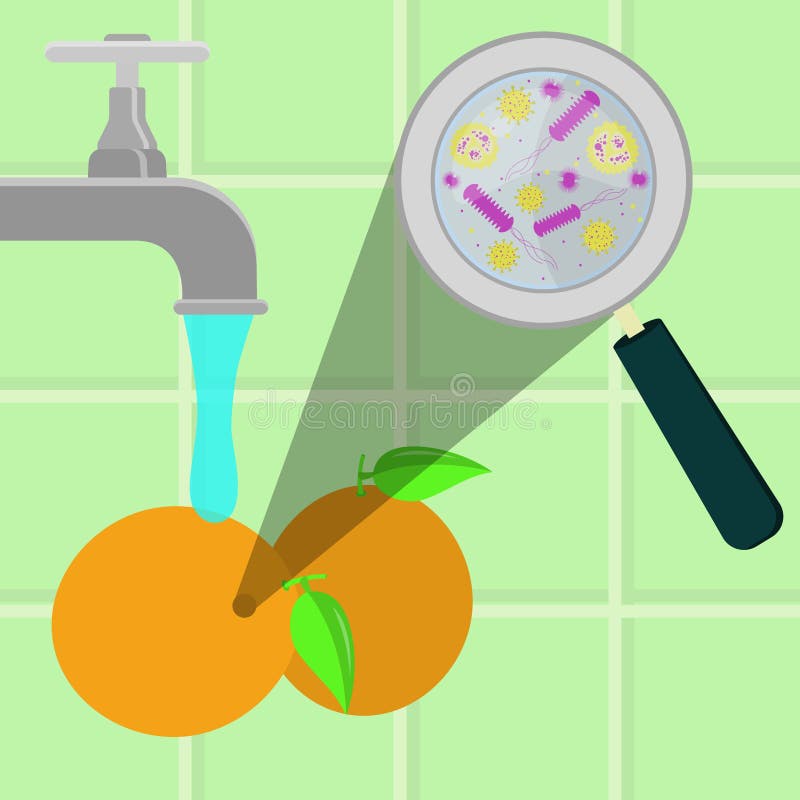 Washing Contaminated Oranges Stock Vector - Illustration of lifestyle ...