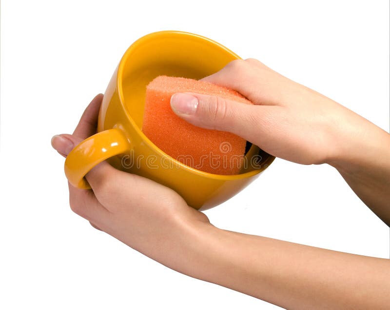 5,724 Washing Cup Photos - Free & Royalty-Free Stock Photos from Dreamstime