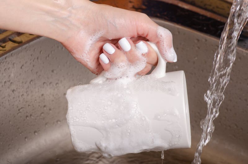 Washing Dishes Cup Mug in Hands Stock Photo - Image of female ...