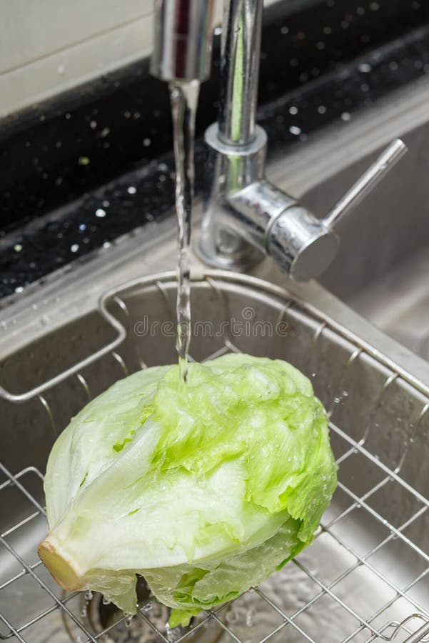 Washing fresh cabbage stock photo. Image of vegetarian - 89534084