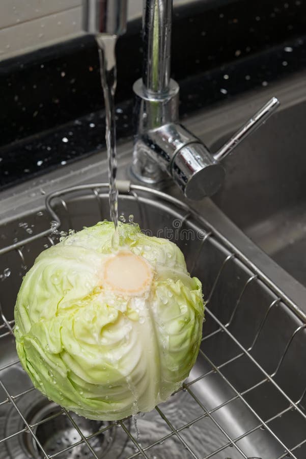 Washing fresh cabbage stock image. Image of plant, nutrients - 90078273