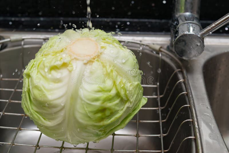 Washing fresh cabbage stock photo. Image of leafy, calorie - 91734248