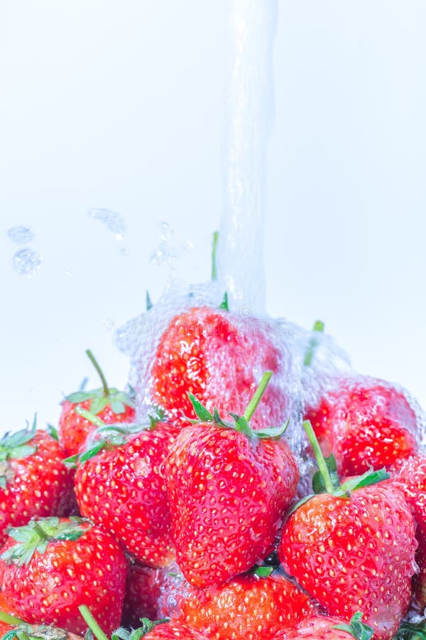 Washing Fresh Strawberries Under Running Water Stock Image - Image of ...
