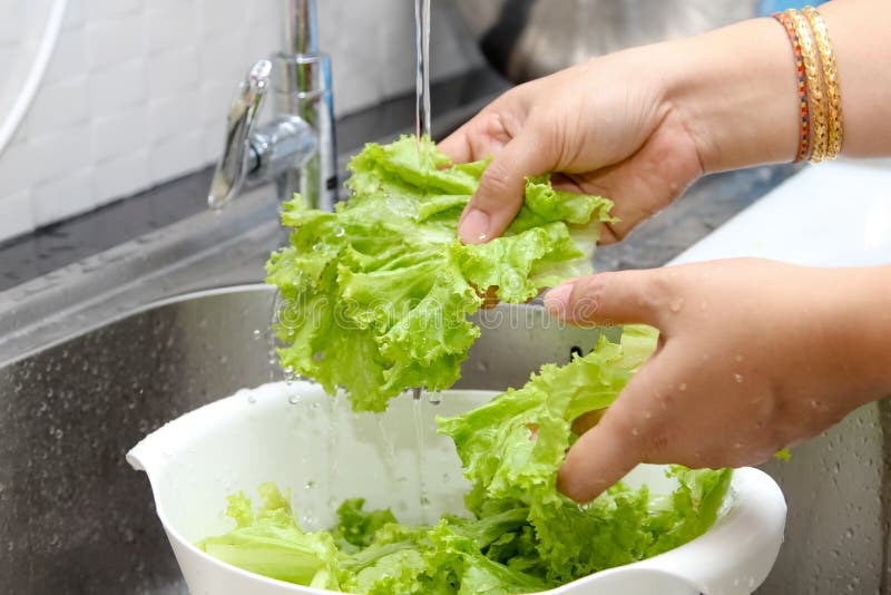 Washing fresh vegetable stock image. Image of hygiene - 53457771