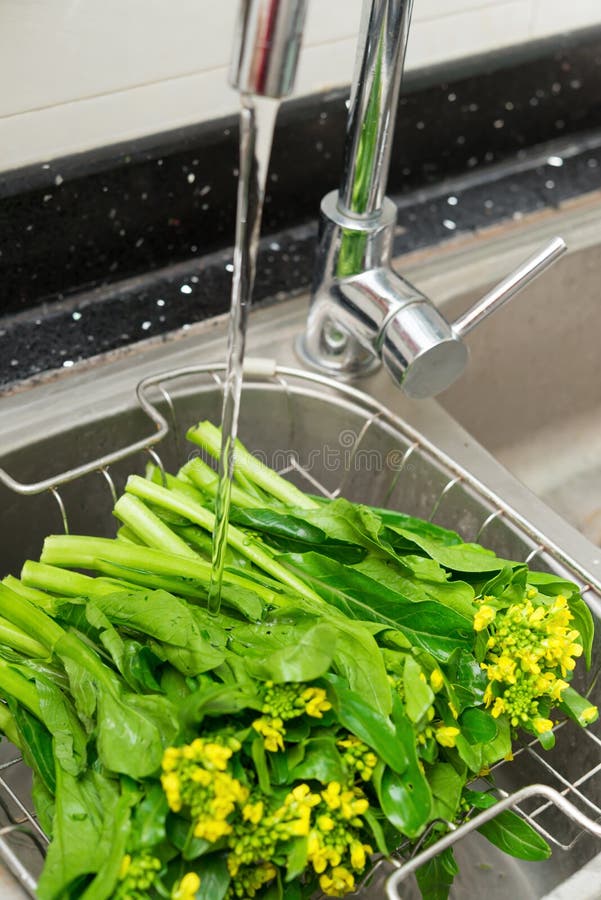 Washing Fresh Vegetable Vertical Composition Stock Image - Image of ...