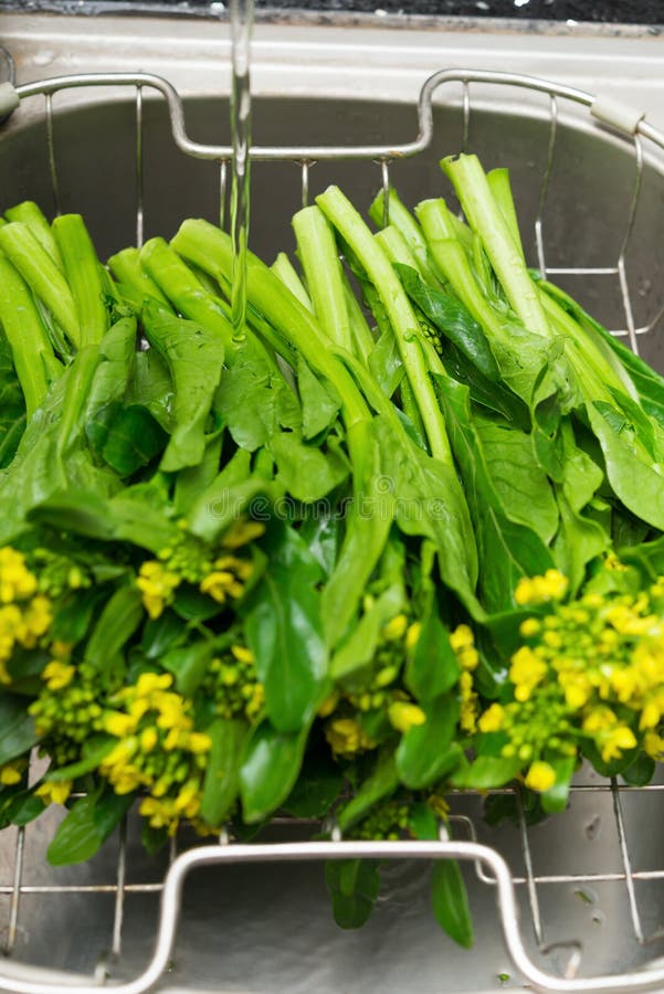 Washing Fresh Vegetable on a Sink Stock Photo - Image of plant, leafy ...