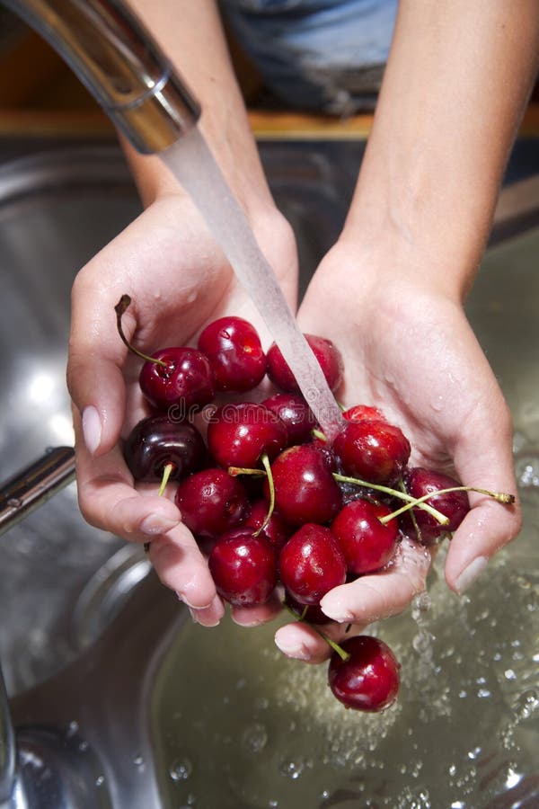 Washing of Fruits, Cherries Stock Photo - Image of hygiene, cherries ...