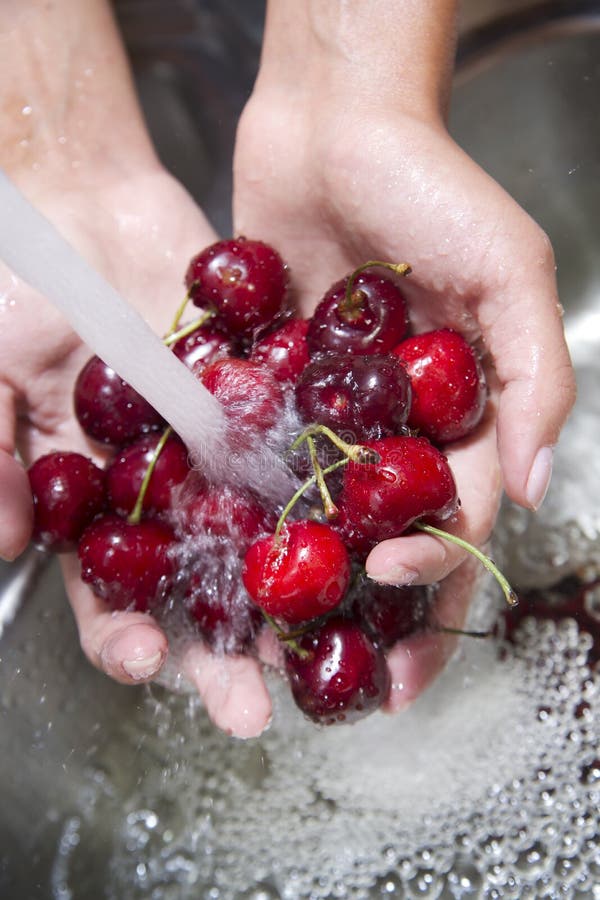 Washing of Fruits, Cherries Stock Photo - Image of healthy, washing ...