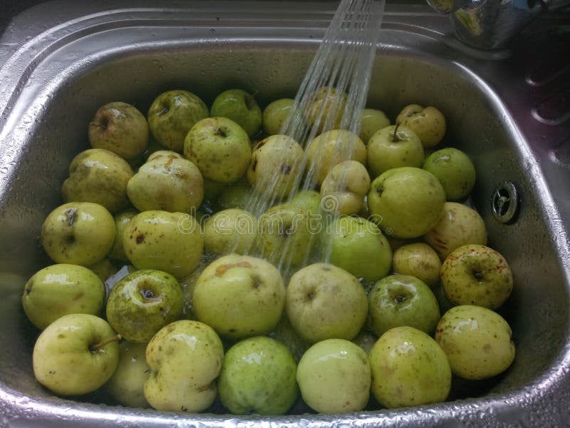 Wild green apples washing stock photo. Image of wild - 104408344