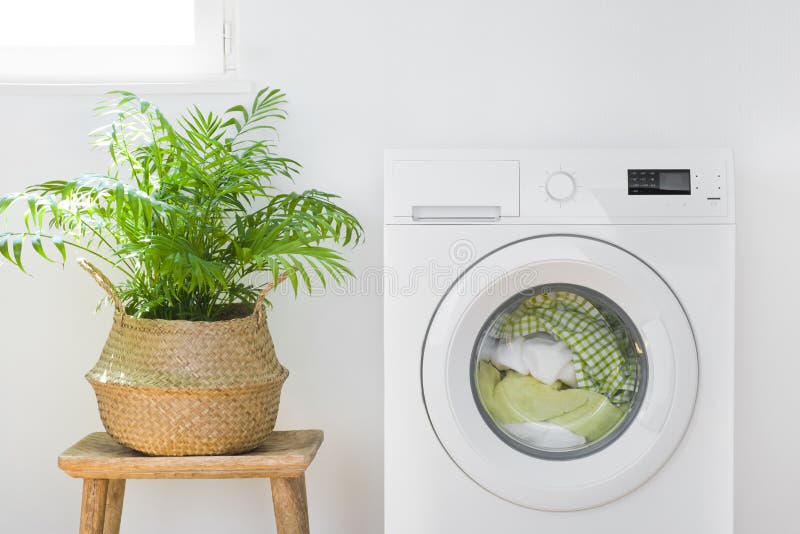 Washing Machine with Laundry, Plant Pot and Sunlight from Window Stock ...