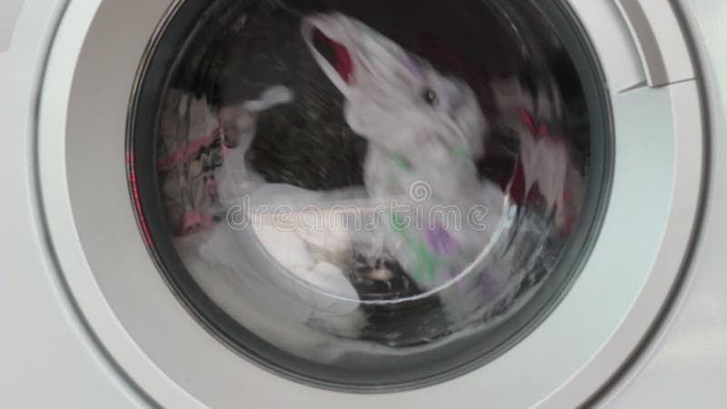 Washing Machine Working with Rotating Garments Inside, Process of ...