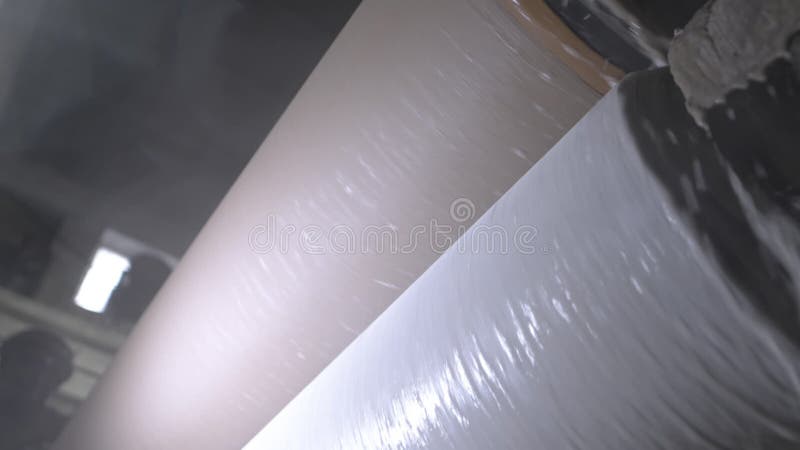 Washing of Paper Web in Special Machine in Cardboard Workshop Stock ...